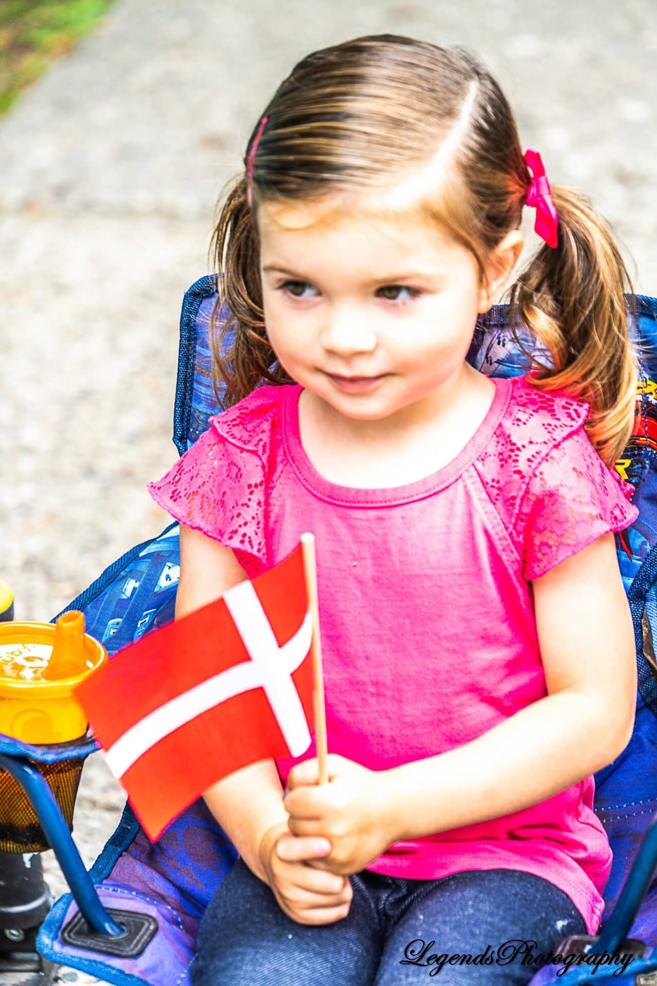 Danish Heritage | Danish Festival